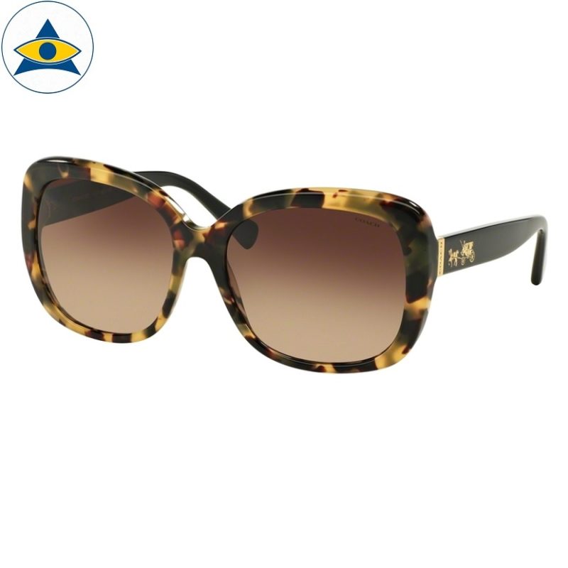 Coach 8158F - Tampines optical